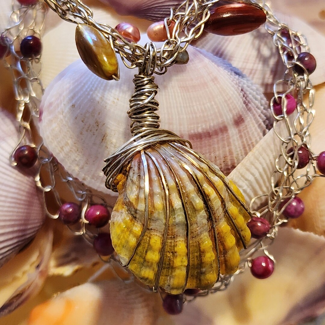 Moonrise Shell Set - Etsy