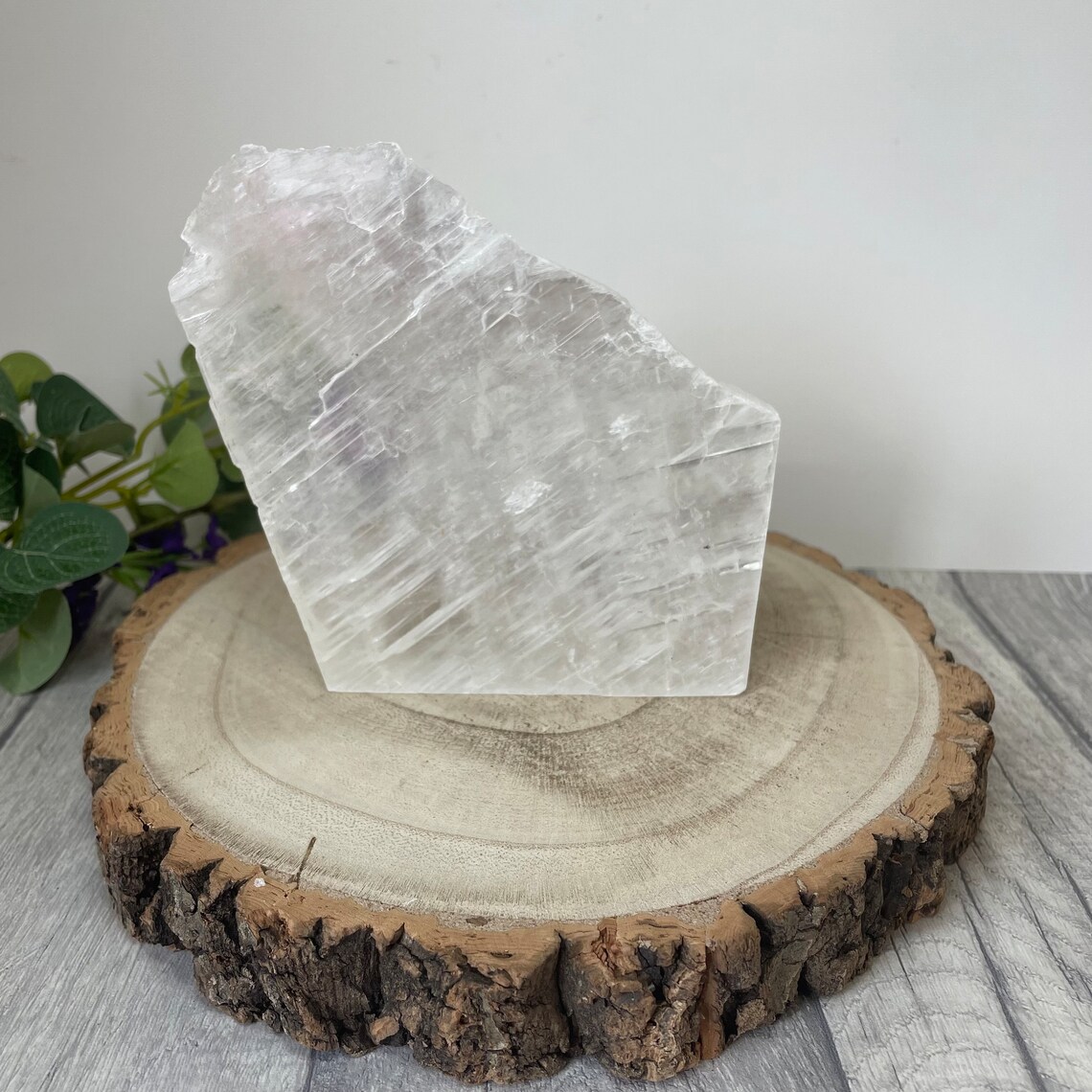 Genuine Selenite Fish Tail Optical Natural Raw Gemstone - Etsy