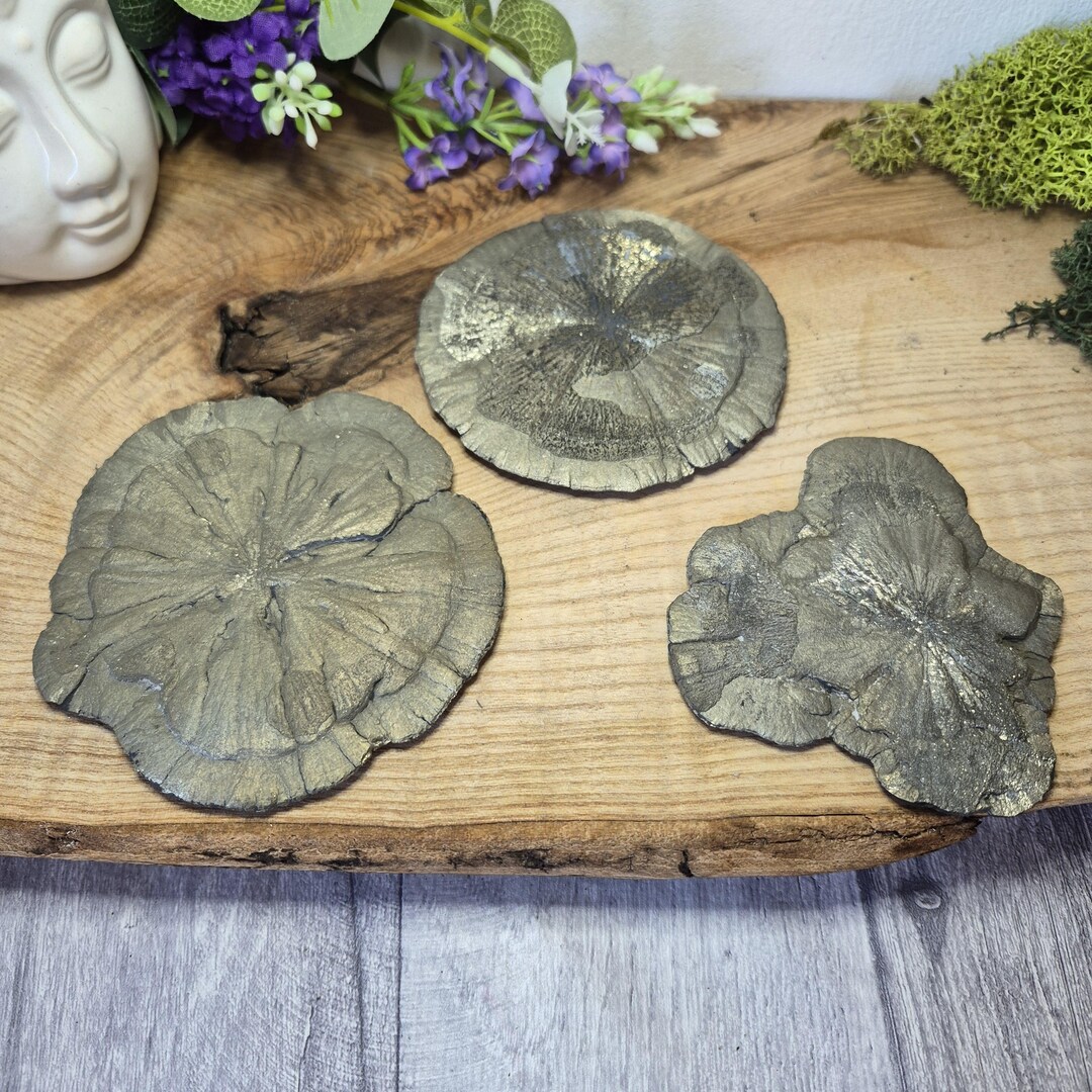 Pyrite Sun Disc — Natural Pyrite Dollar From Illinois | Radiating ...