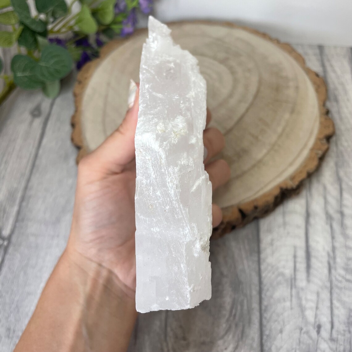 Genuine Selenite Fish Tail Optical Natural Raw Gemstone - Etsy