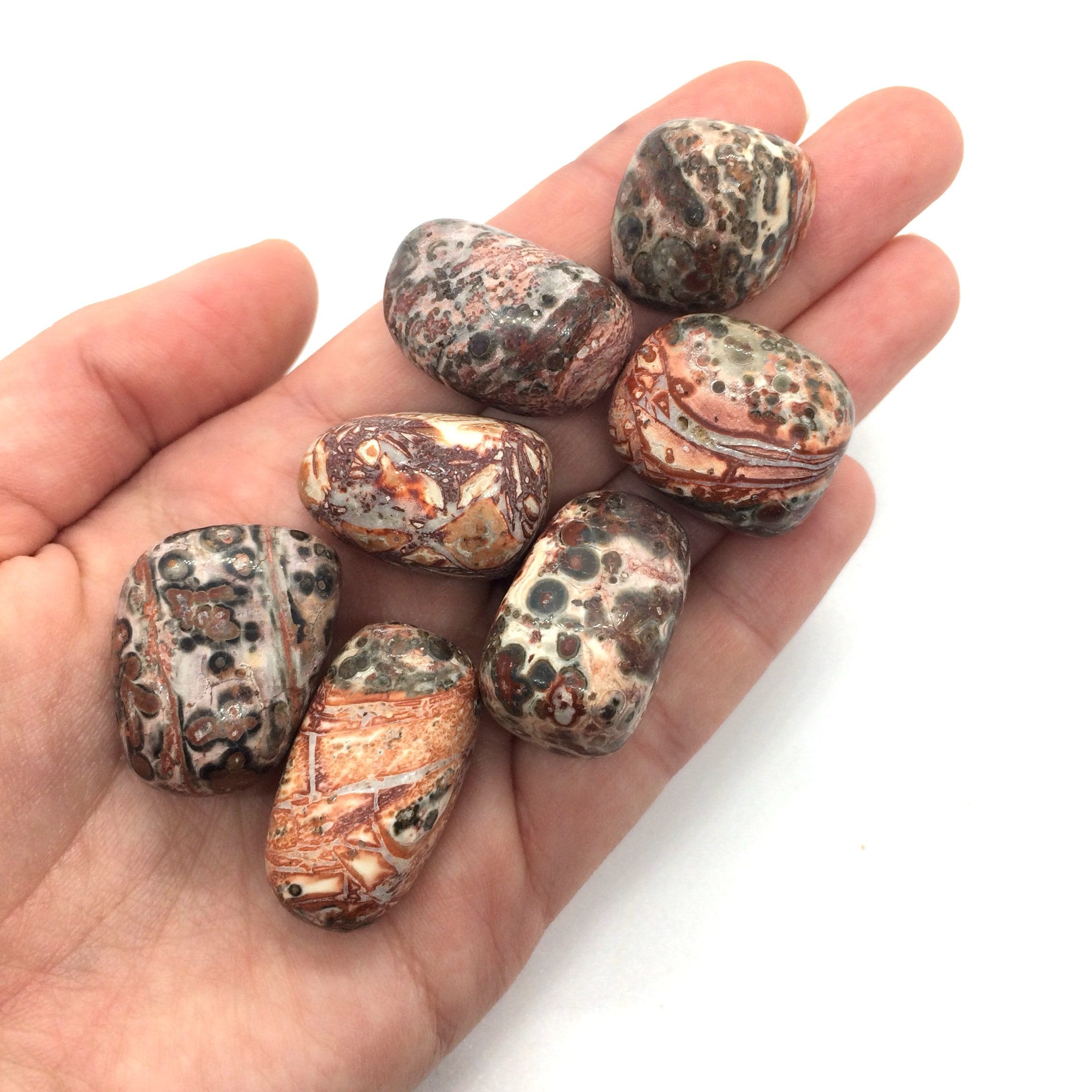 Leopard Skin Jasper Tumbled Stone 20-25mm - Etsy UK