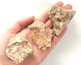 Leopardite Jasper - Etsy