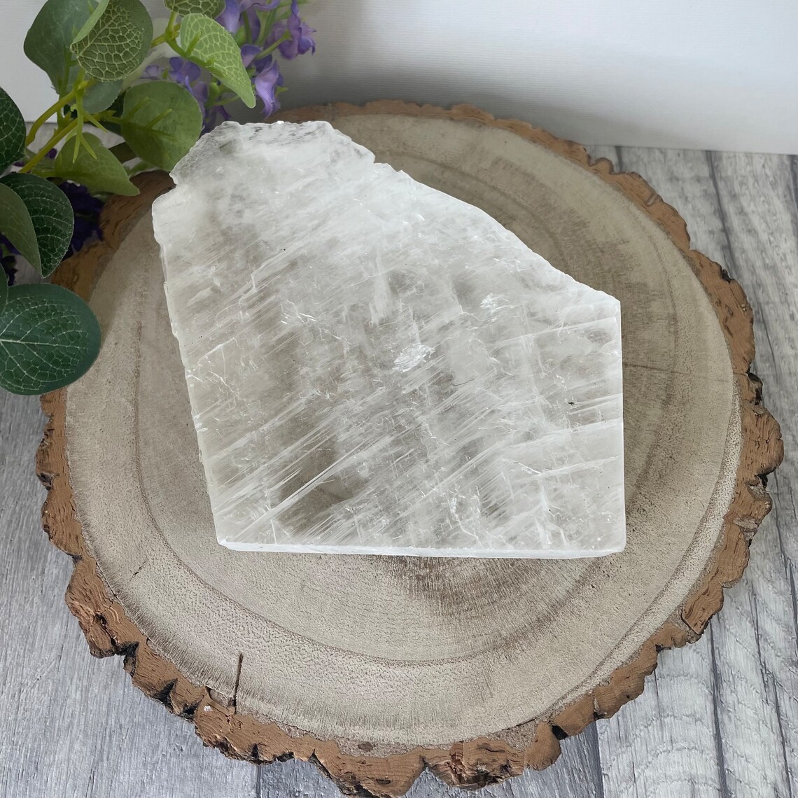 Genuine Selenite Fish Tail Optical Natural Raw Gemstone - Etsy