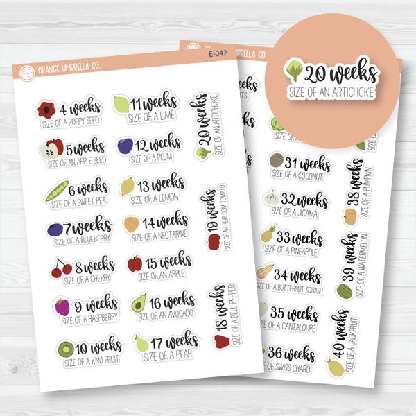 Pregnancy Stickers Weeks - Etsy