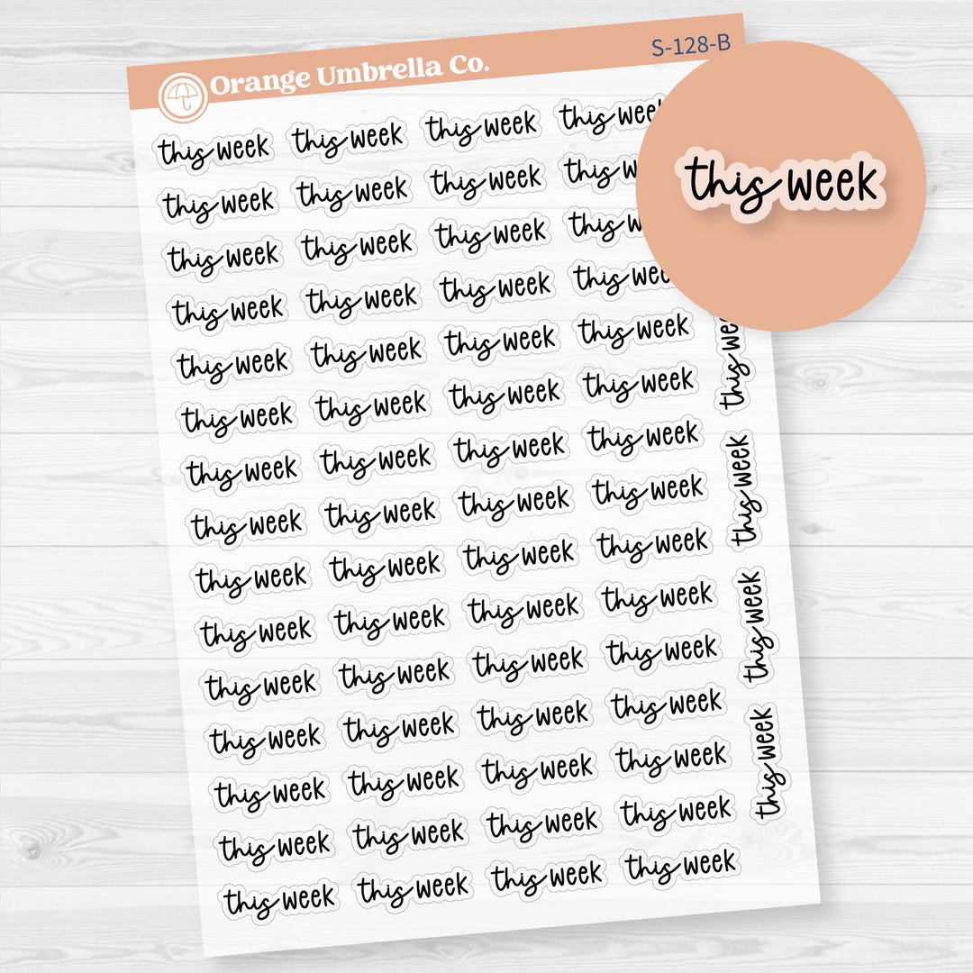 This Week Planner Stickers | F17 | Clear Matte | S-128-BCM - Etsy