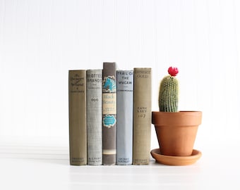 Vintage Cowboy Books, Western Book Set, Wild West Horses, Book Covers ...