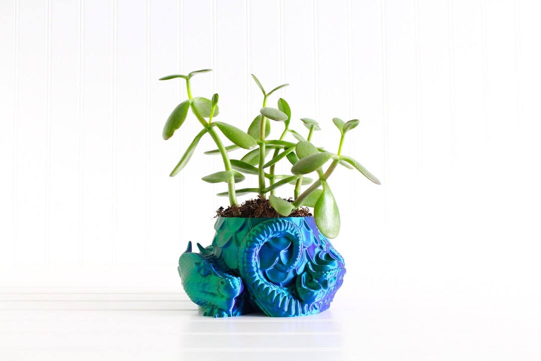 Dragon Planter, Indoor Planter, Succulent Planter, Drip Tray Drain Hole ...