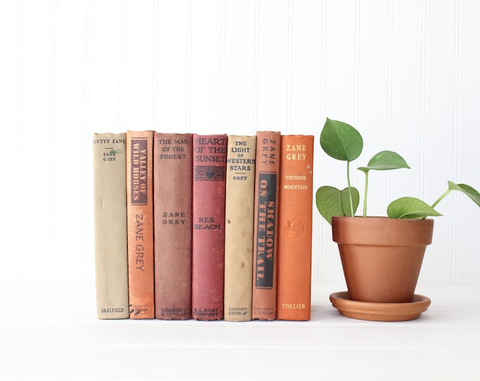 Vintage Western Book Set, Cowboy Books, Wild West, Horses, Book Covers ...