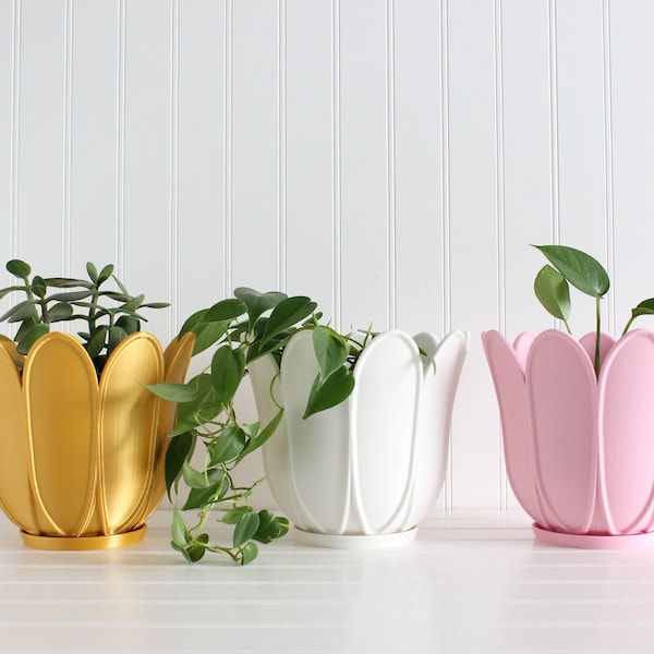 Plant Planter Risers - Etsy