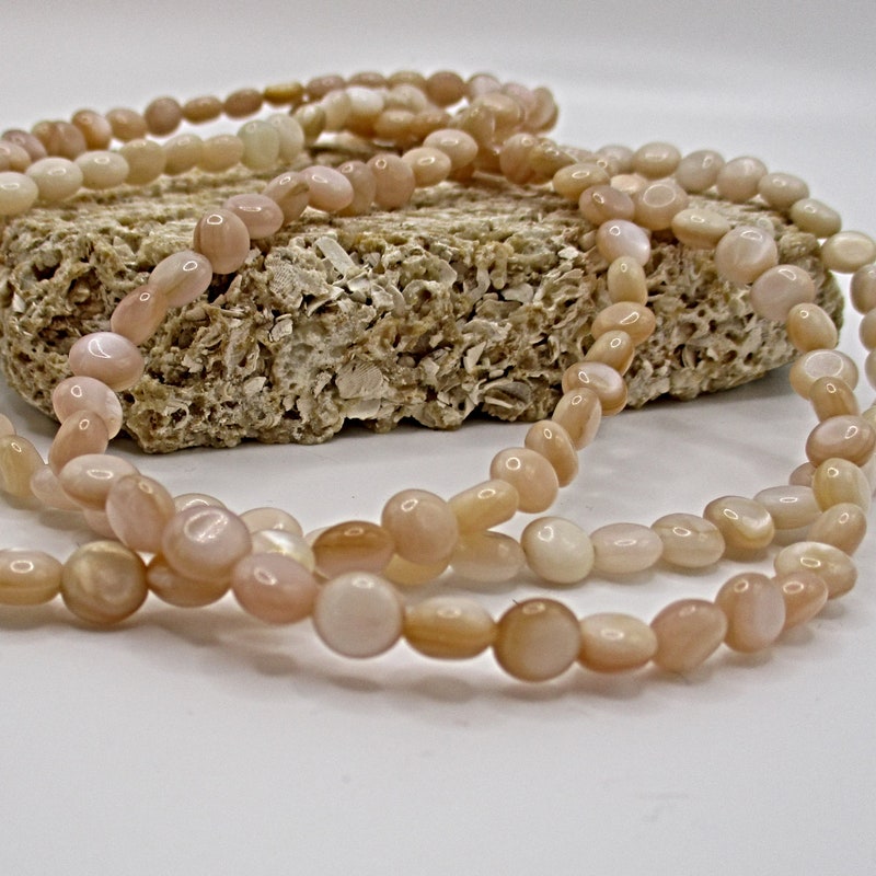 Mussel Shells - Etsy