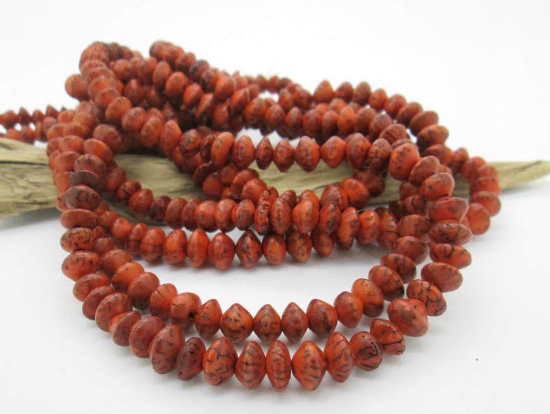 Orange Salwag Seed Saucer Bead, Natural Seed Bead, Southwest Saucer ...