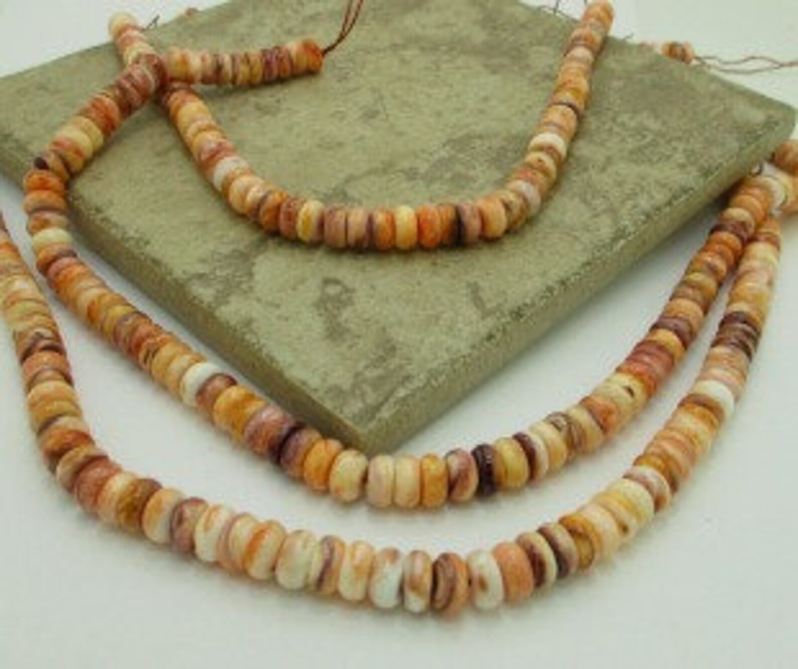 Spiny Oyster Shell Rondelle Bead Large Spiny Oyster Bead - Etsy