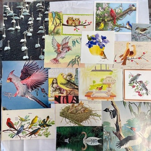 Bird Vintage Ephemera Pack Over 100 Pieces With a Bird Theme for ...