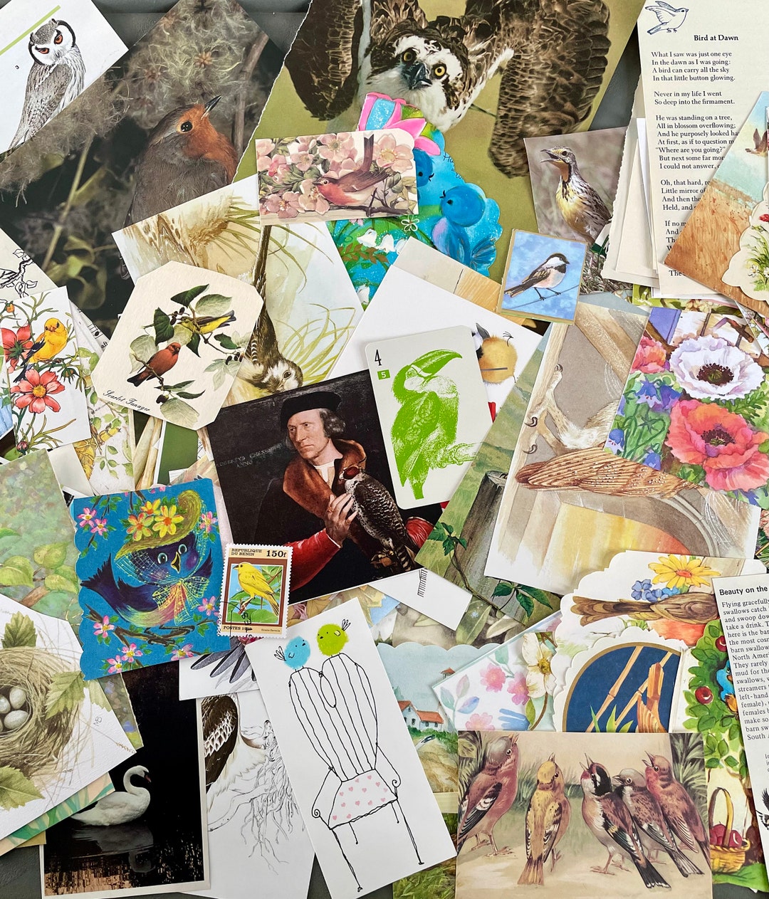 Vintage Bird Ephemera Pack Over 100 Pieces All Types of Birds for ...