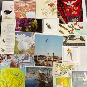 Bird Vintage Ephemera Pack Over 100 Pieces With a Bird Theme for ...