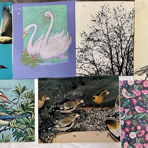 Bird Vintage Ephemera Pack Over 100 Pieces With a Bird Theme for ...