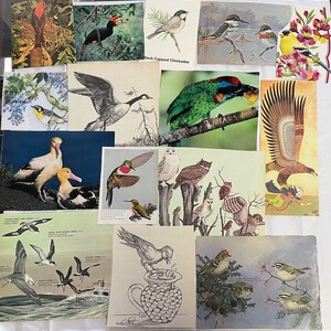 Bird Vintage Ephemera Pack Over 100 Pieces With a Bird Theme for ...