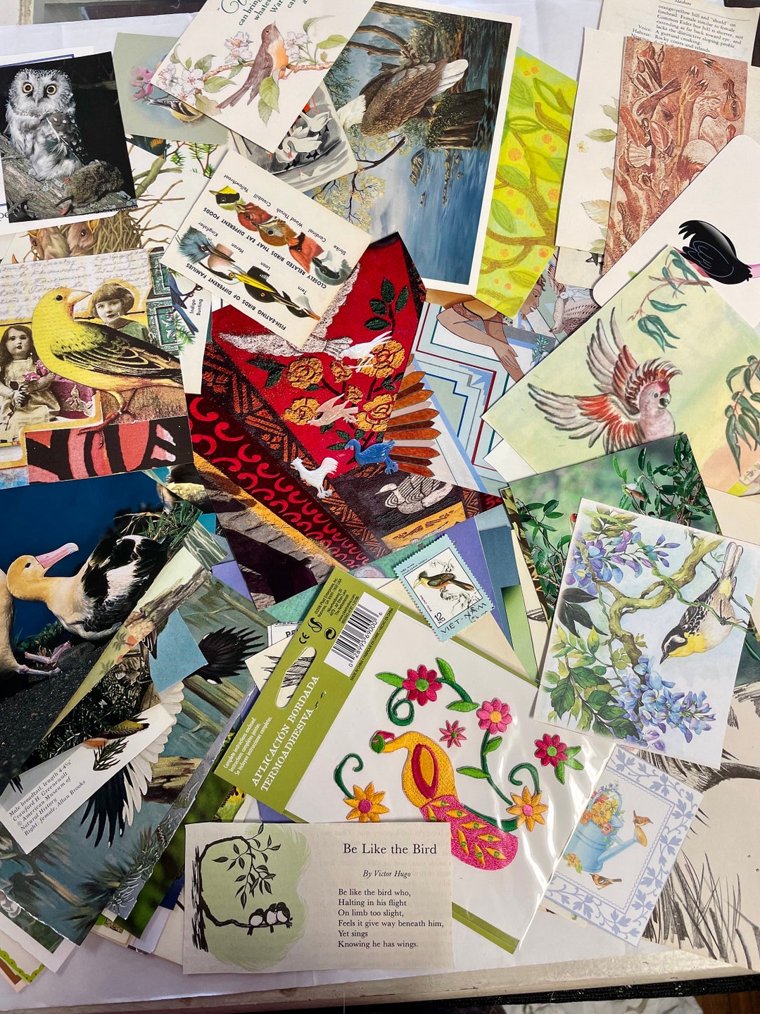 Bird Vintage Ephemera Pack Over 100 Pieces With a Bird Theme for ...