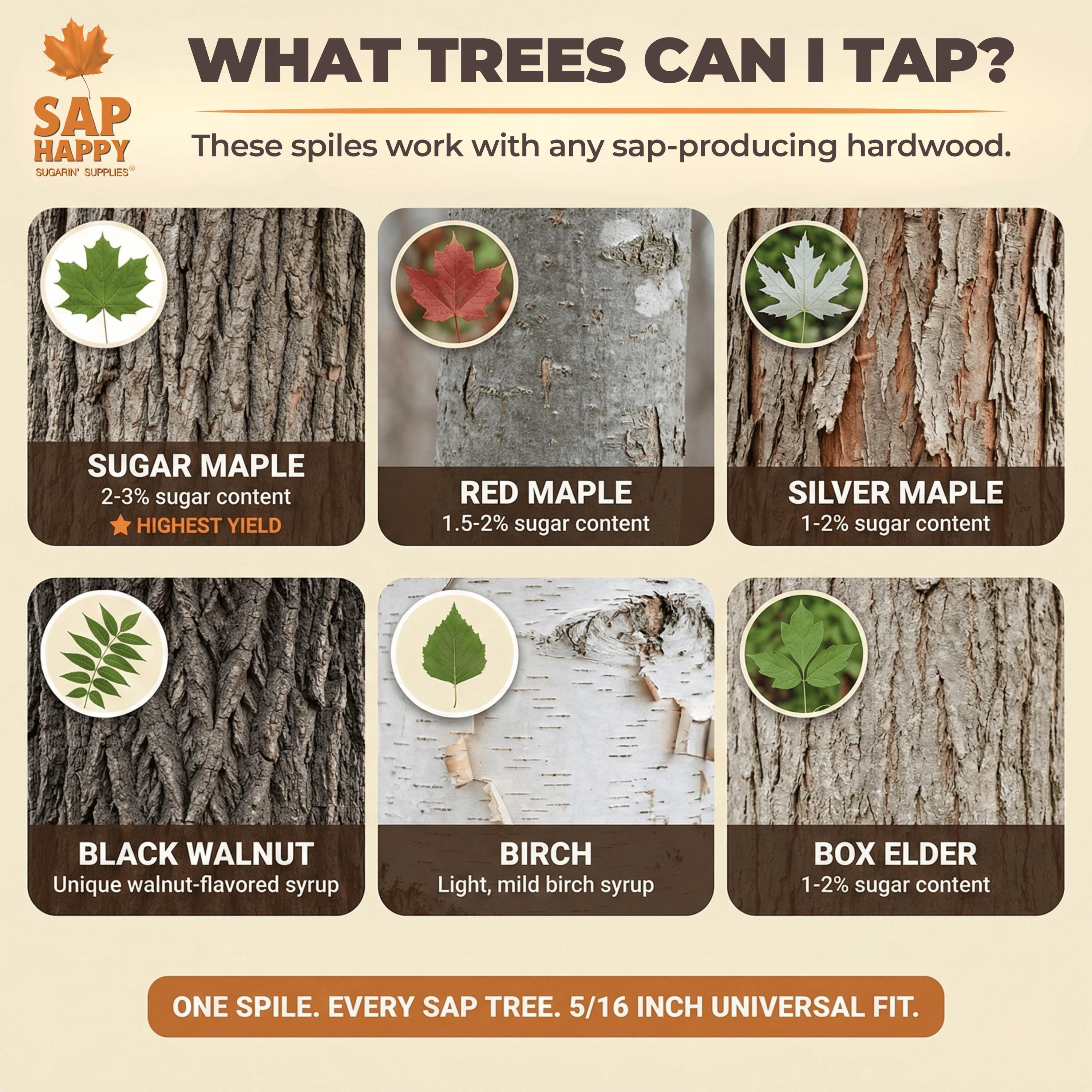 Maple Sap Spiles, 5/16" Ecolo Taps for Maple Trees, Maple Syrup Spile ...