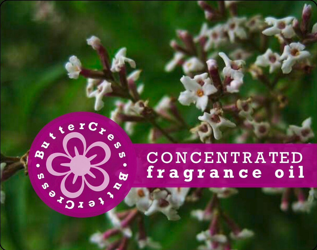 LEMON VERBENA Fragrance Oil Concentrate for Lotion, Scrubs, Soap ...