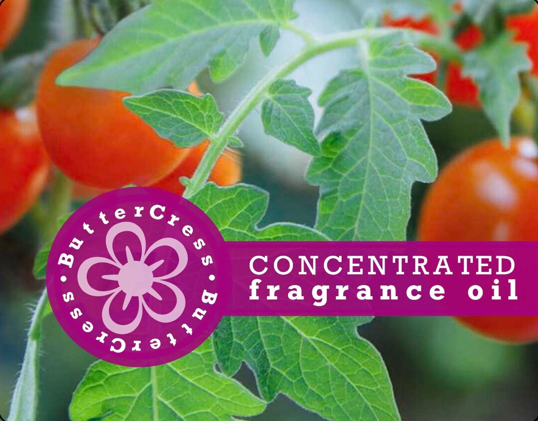 TOMATO LEAF Fragrance Oil Concentrate for Soap, Candles, Bath & Body ...