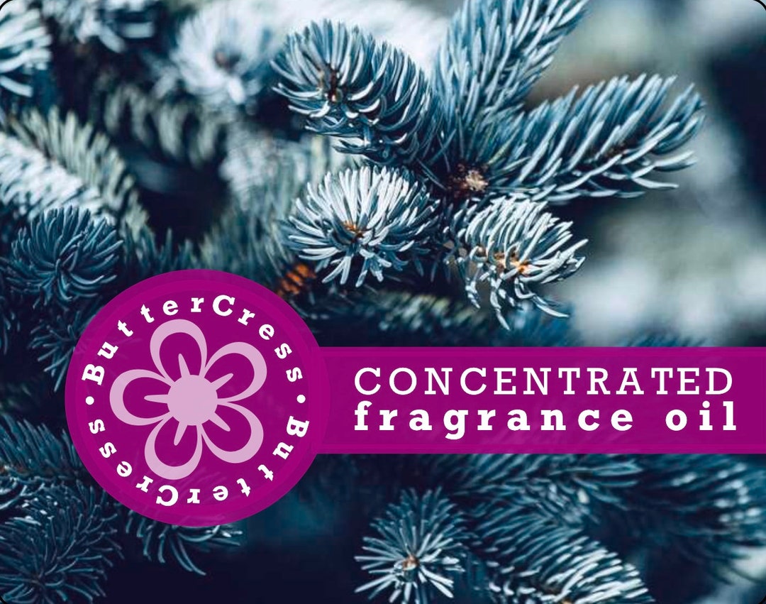 BLUE SPRUCE Fragrance Oil Concentrate: Soap, Home Scents, Candles ...