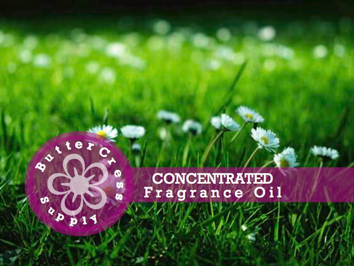FRESH GRASS Fragrance Oil Concentrate | Etsy