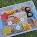 Fall Sensory Bin, Autumn Sensory Bin, Pie Sensory Bin, Sensory Activity ...