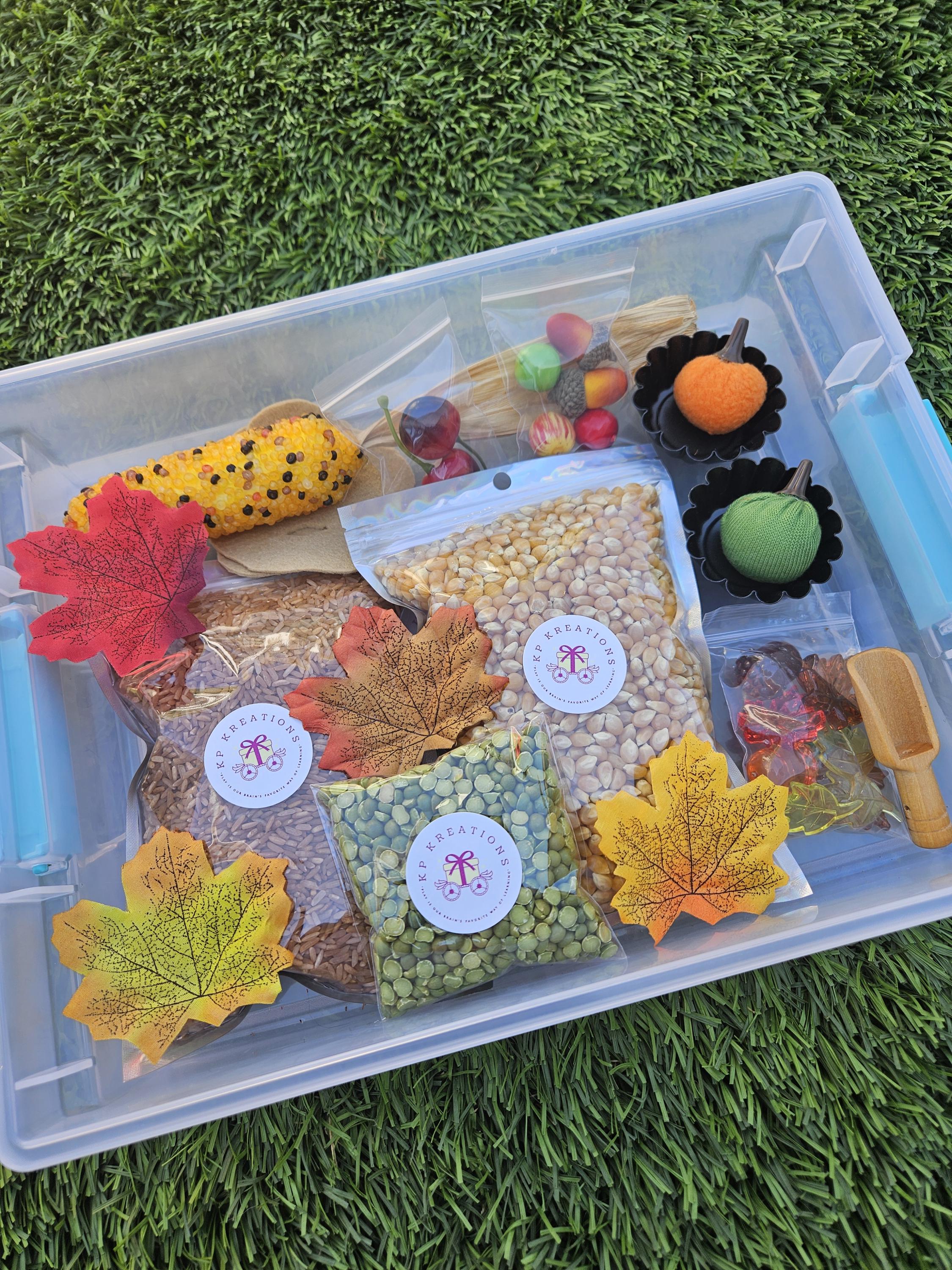 Fall Sensory Bin, Autumn Sensory Bin, Pie Sensory Bin, Sensory Activity ...