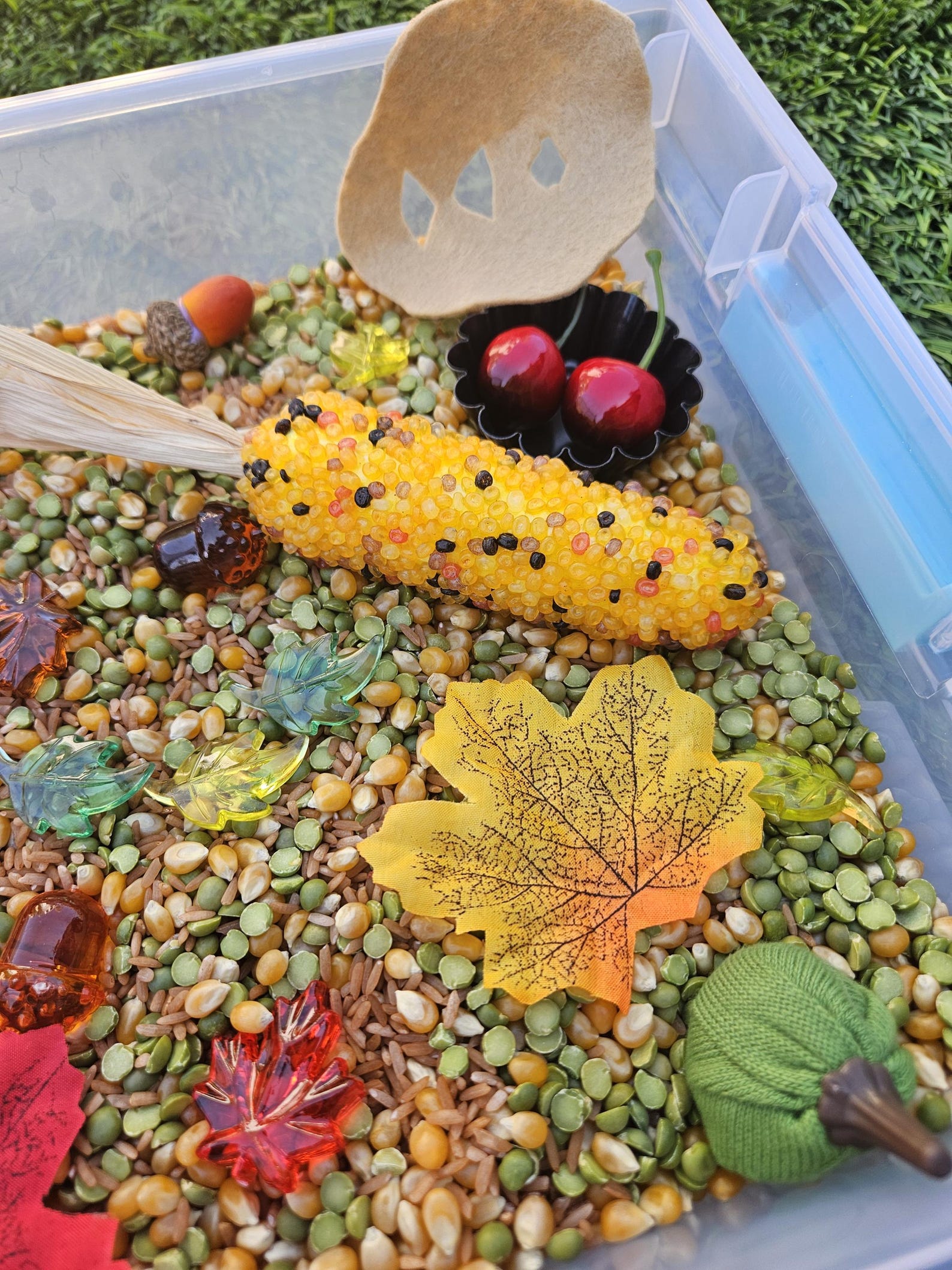 Fall Sensory Bin, Autumn Sensory Bin, Pie Sensory Bin, Sensory Activity ...
