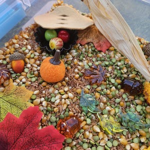 Fall Sensory Bin, Autumn Sensory Bin, Pie Sensory Bin, Sensory Activity ...