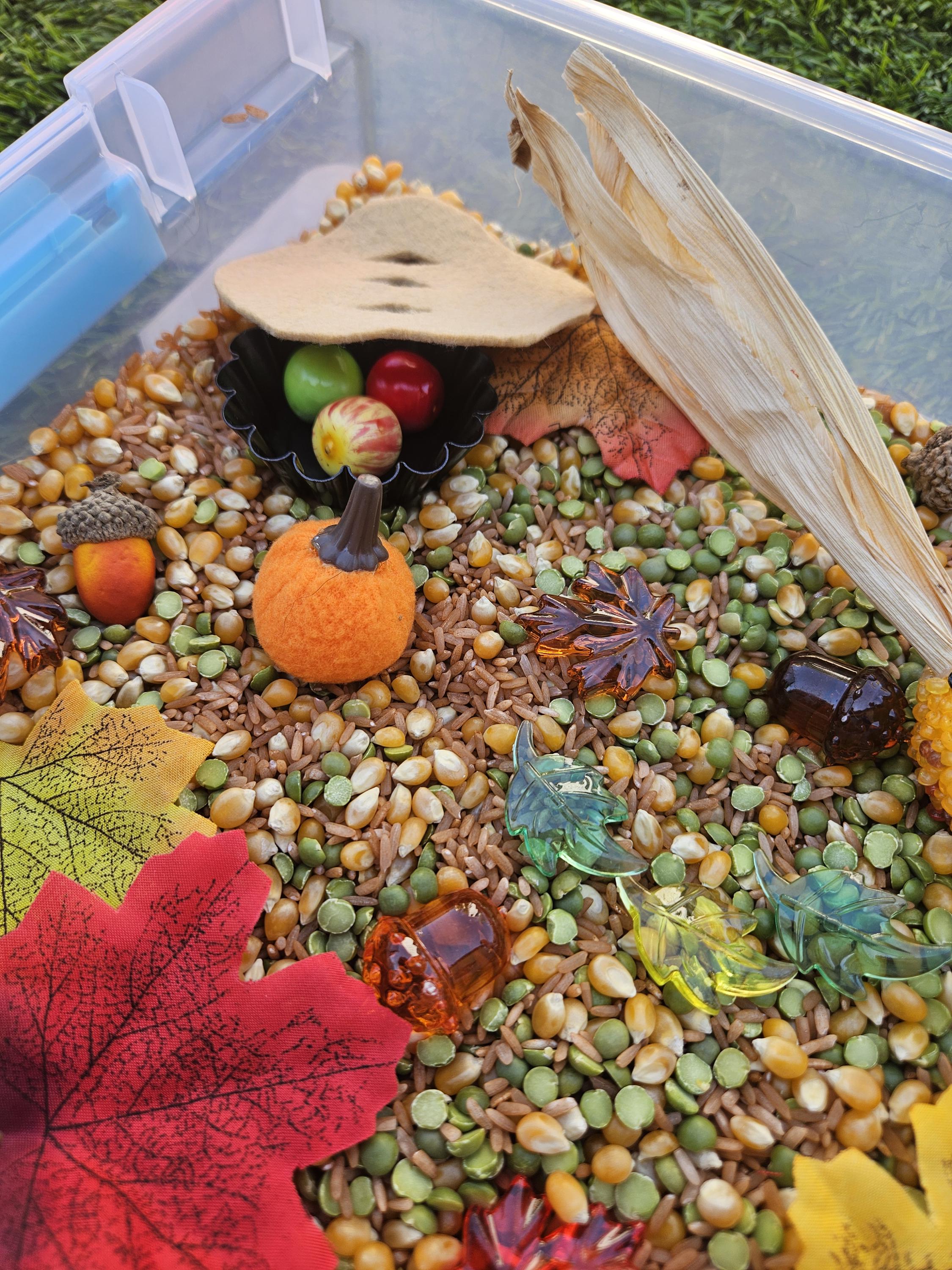 Fall Sensory Bin, Autumn Sensory Bin, Pie Sensory Bin, Sensory Activity ...