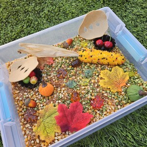 Fall Sensory Bin, Autumn Sensory Bin, Pie Sensory Bin, Sensory Activity ...