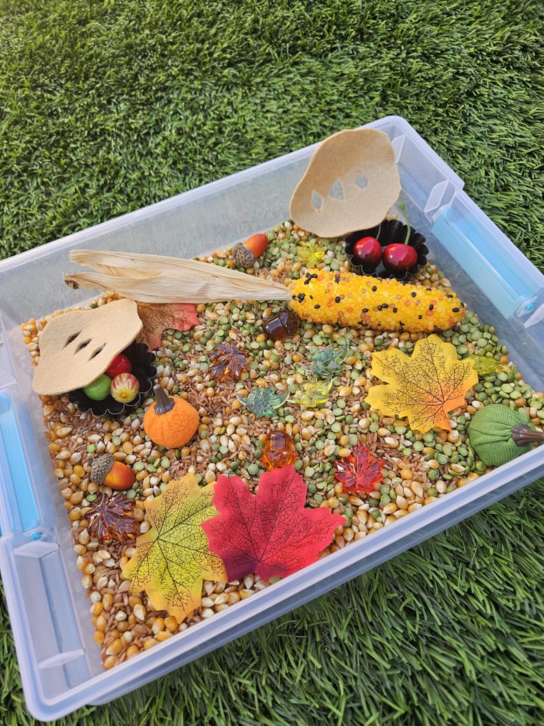 Fall Sensory Bin, Autumn Sensory Bin, Pie Sensory Bin, Sensory Activity ...
