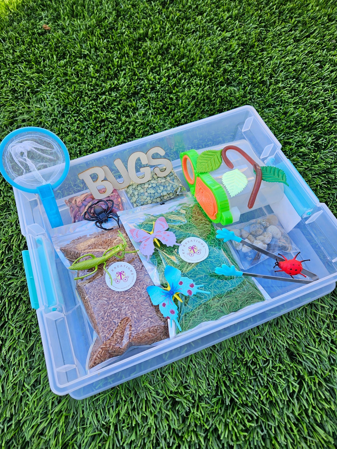 Critter Catcher Sensory Bin, Bug Sensory Bin, Bug Activity, Sensory ...