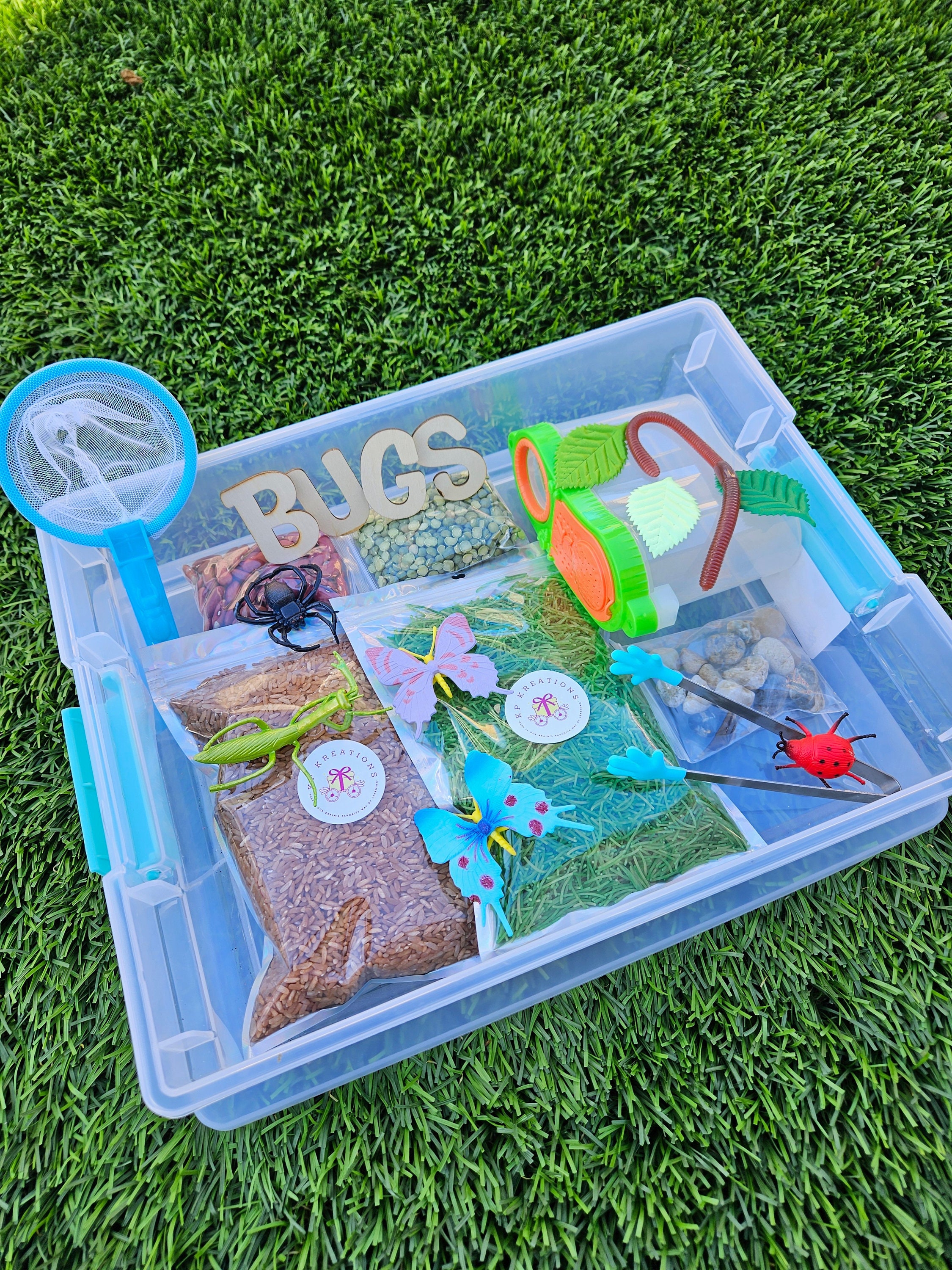 Critter Catcher Sensory Bin, Bug Sensory Bin, Bug Activity, Sensory ...