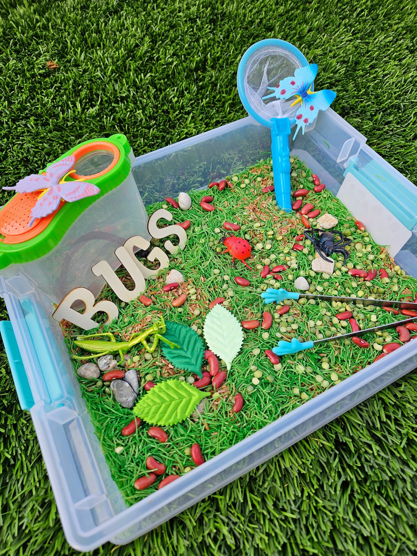 Critter Catcher Sensory Bin, Bug Sensory Bin, Bug Activity, Sensory ...