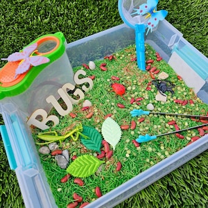 Critter Catcher Sensory Bin, Bug Sensory Bin, Bug Activity, Sensory ...