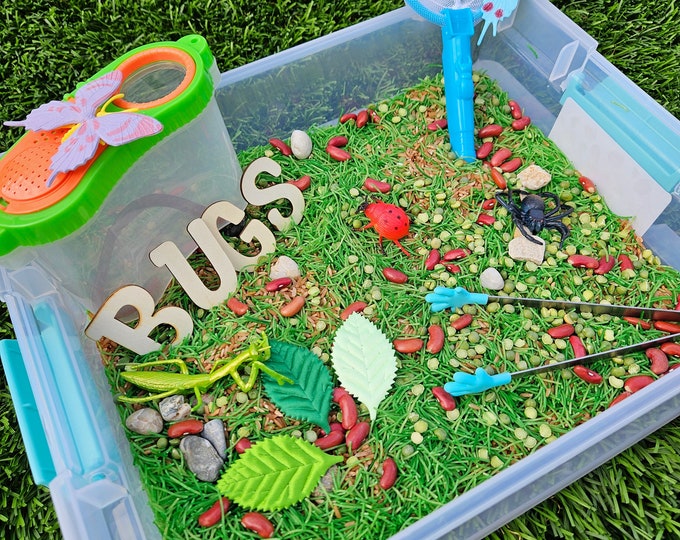 Critter Catcher Sensory Bin, Bug Sensory Bin, Bug Activity, Sensory ...