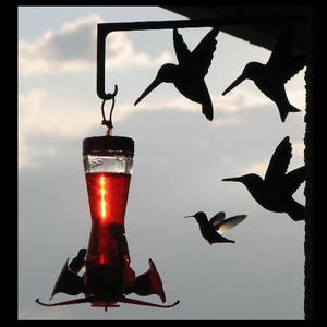 Humming Bird Feeder .dxf and SVG Format Clip Art Files for CNC Cutting ...