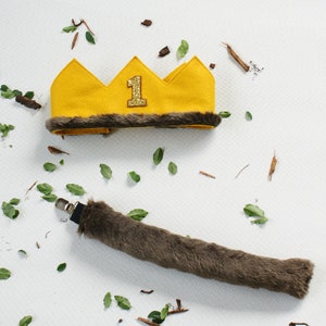 First Birthday Crown Mustard Birthday Crown Boy Birthday - Etsy Australia