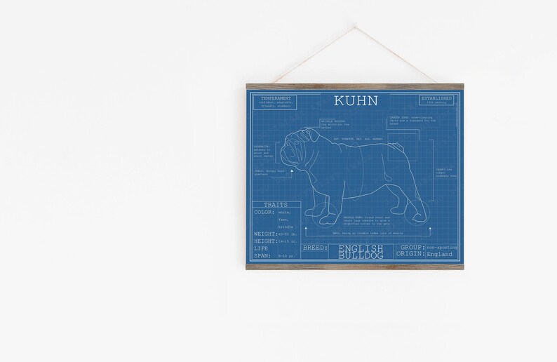 Dog Breed Blueprint Custom Pet Portrait English Bulldog Poster - Etsy