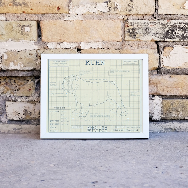 Dog Breed Blueprint Custom Pet Portrait English Bulldog Poster - Etsy
