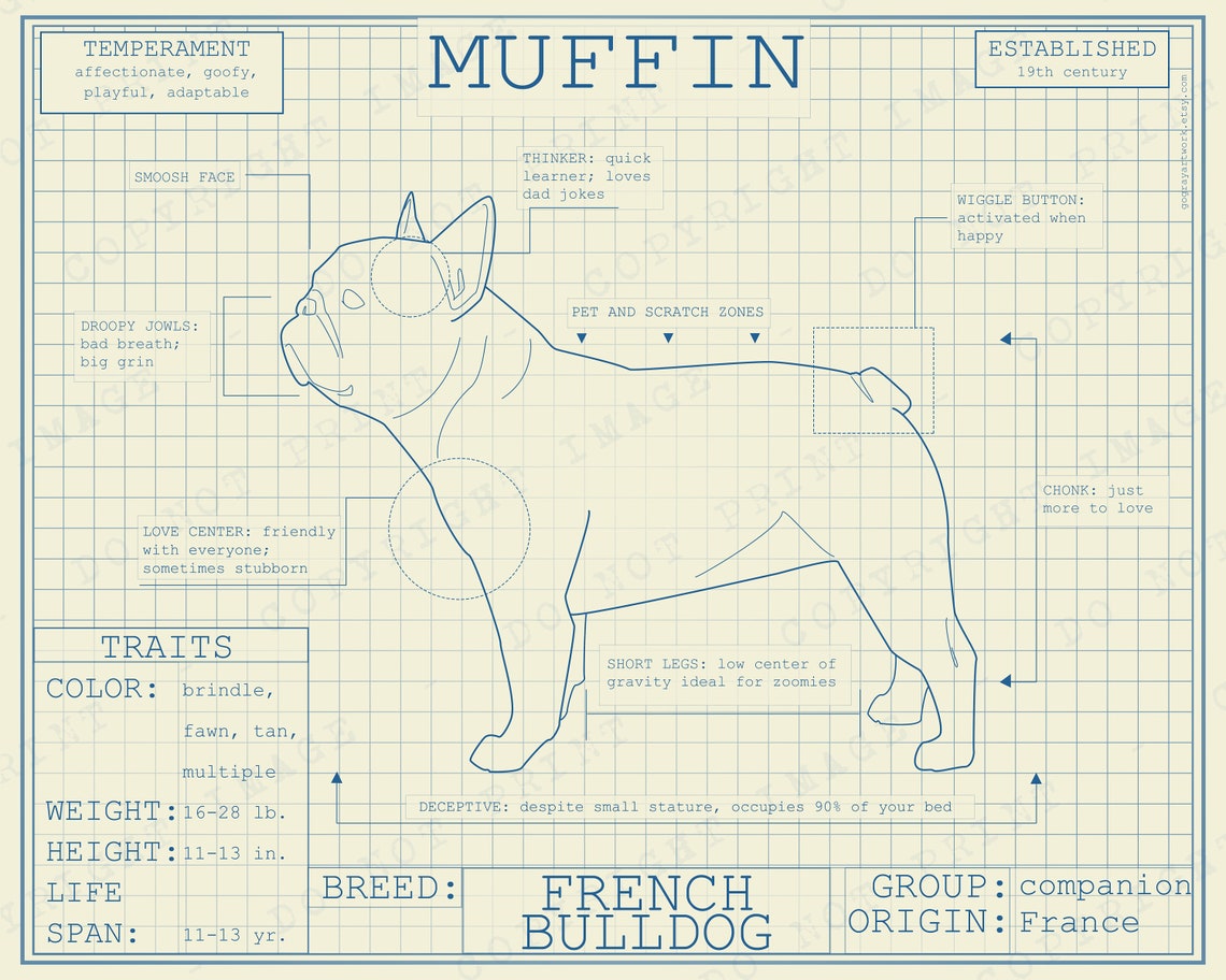 Dog Breed Blueprint Custom Pet Portrait French Bulldog Poster | Etsy
