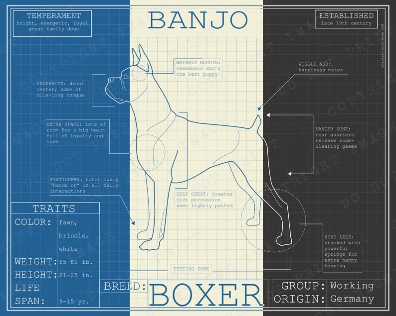 Dog Breed Blueprint Custom Pet Portrait Boxer Puppy Poster | Etsy