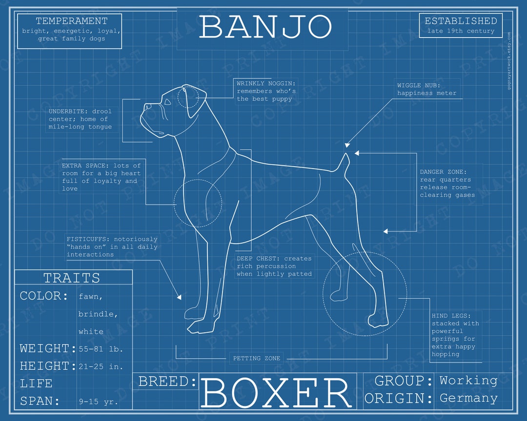 Dog Breed Blueprint Custom Pet Portrait - Boxer Puppy Poster Blue Print ...