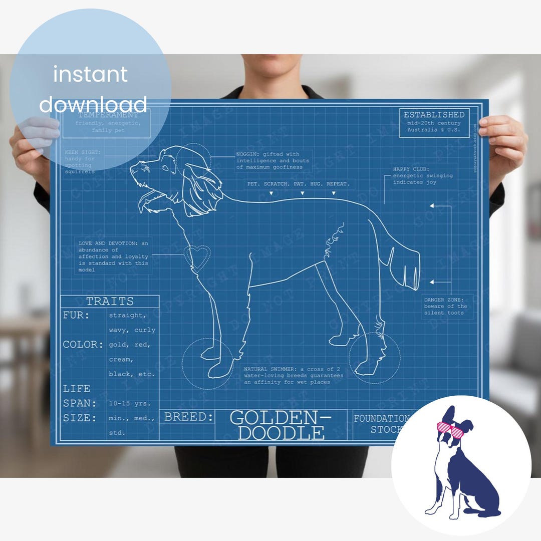 Goldendoodle Blueprint Art Print: Funny Dog Breed Portrait (digital ...