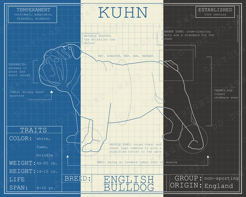 Dog Breed Blueprint Custom Pet Portrait English Bulldog Poster - Etsy