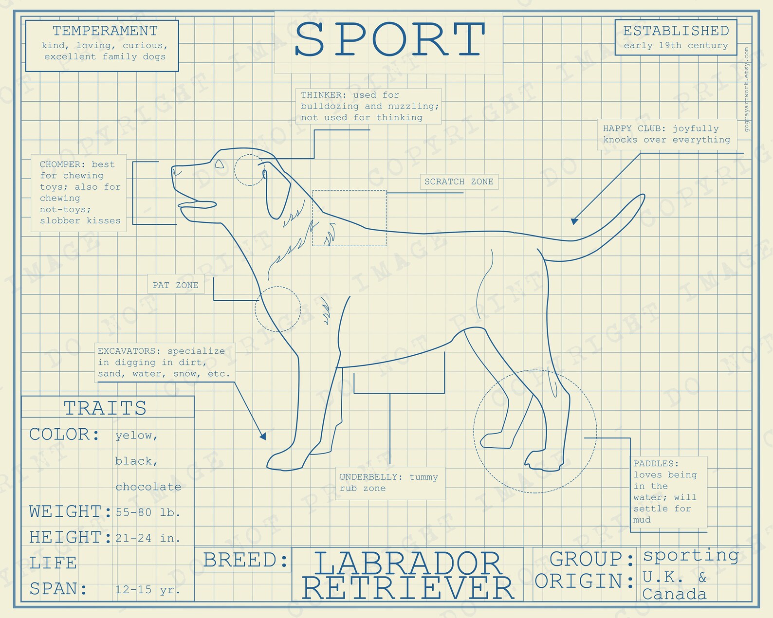 Dog Breed Blueprint Custom Pet Portrait Labrador Puppy Poster - Etsy