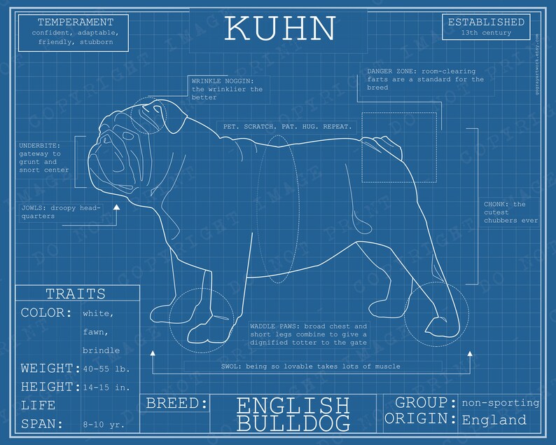 Dog Breed Blueprint Custom Pet Portrait English Bulldog Poster - Etsy
